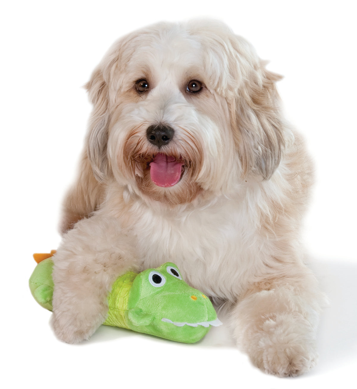 Petstages® Big Squeak Gator - Marmaduke Pets