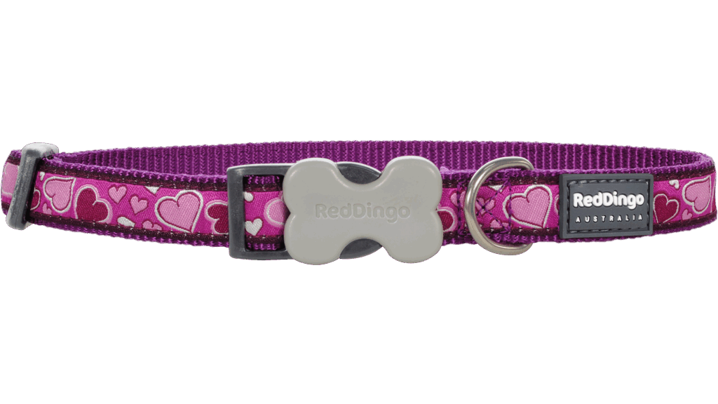 Red Dingo 'Breezy Love Purple' Collar - Marmaduke Pets