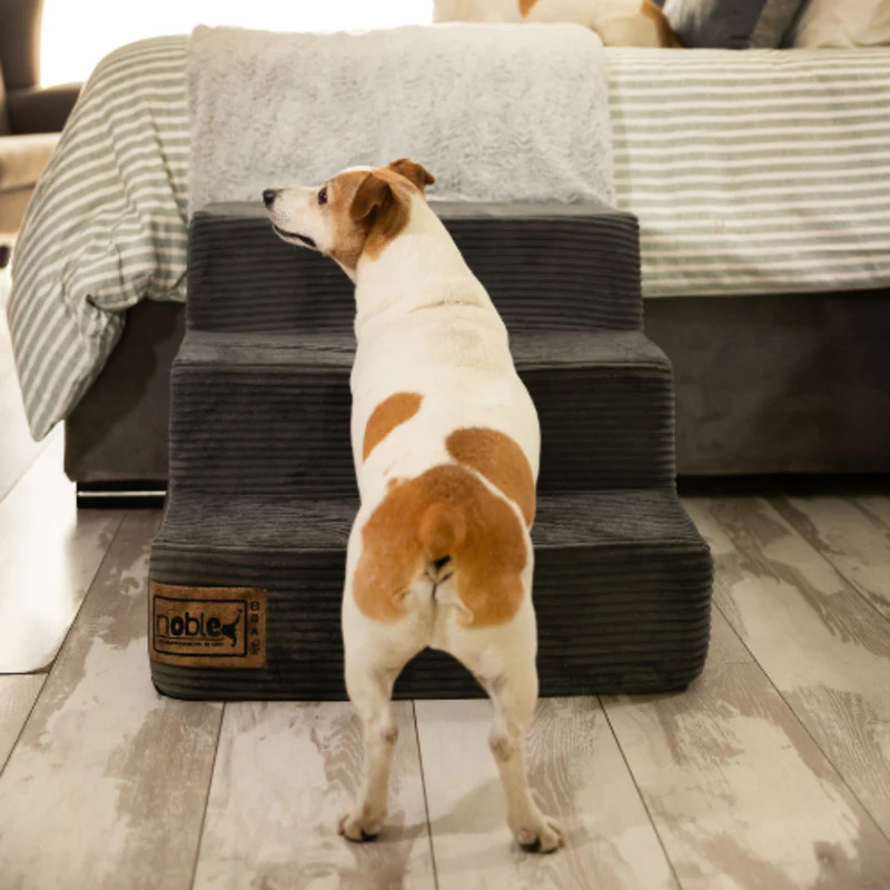 The Step Up Dog Stairs - Marmaduke Pets